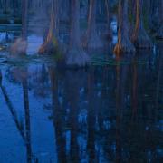 Parks After Dark: A Guide to the Parks' Nightlife and Events | Friends ...